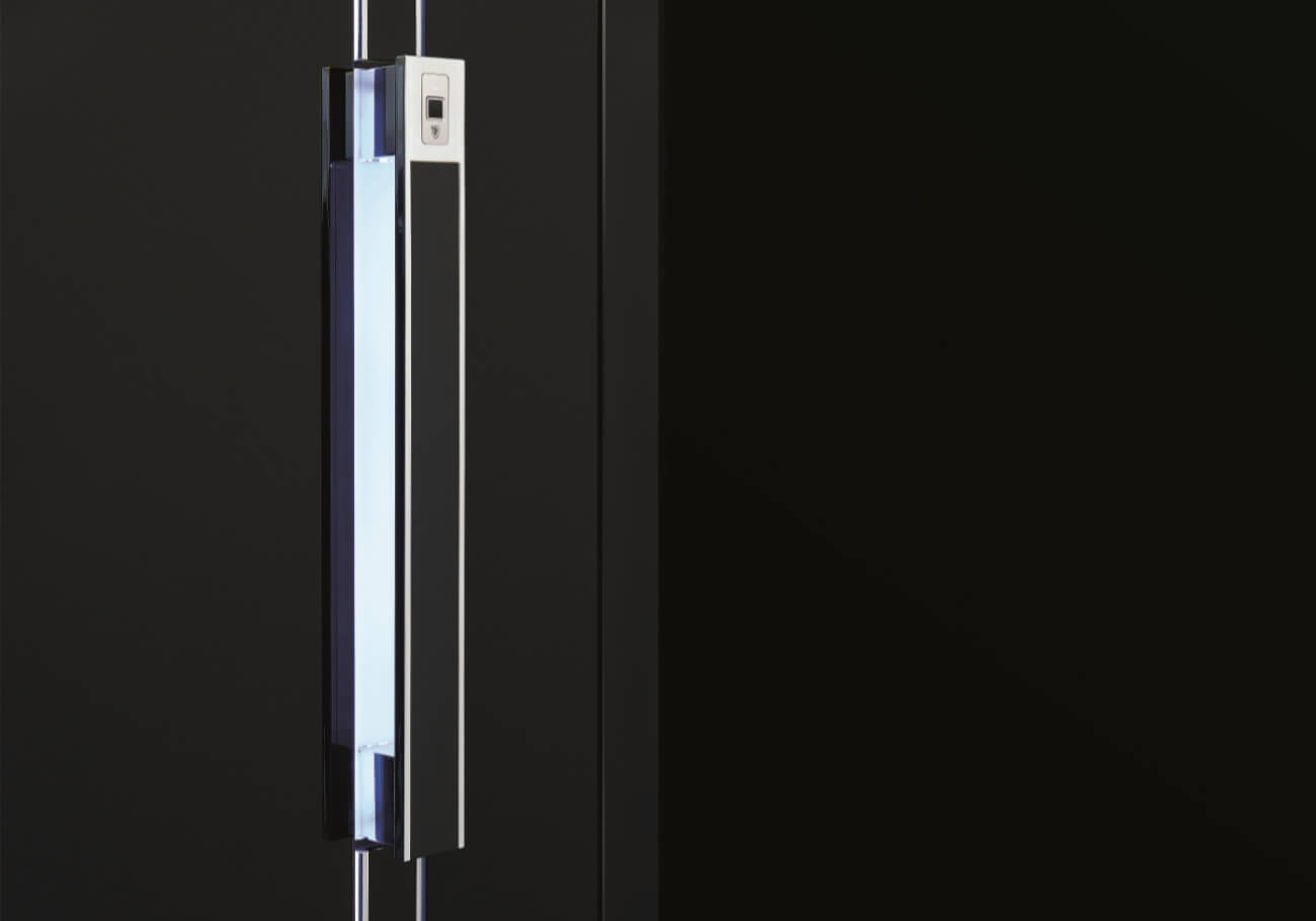 Entrance doors | Best modern entry doors | PIRNAR